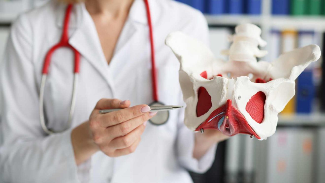 Prolapso uterino| Fisio Vicetto